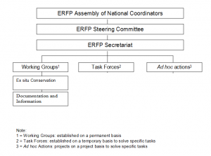 How do we operate | ERFP